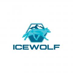 UX & UI Website Design Brisbane - Icewolf Web Solutions