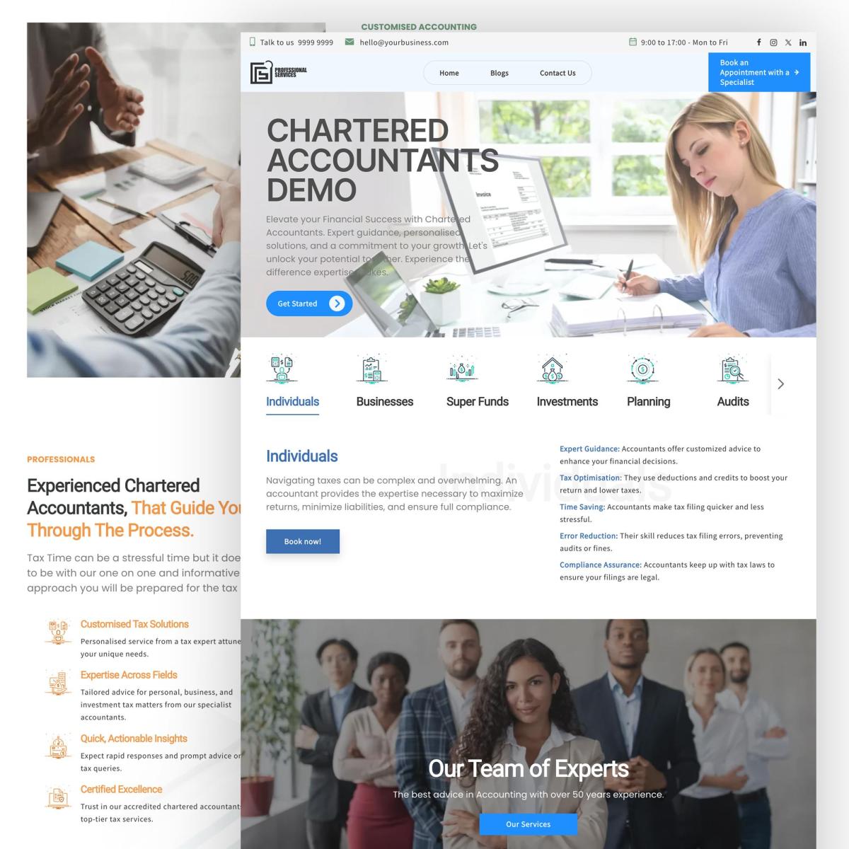 Icewolf Web Design Brisbane Company