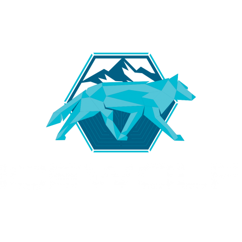 How AI can help your business - Icewolf Web Solutions